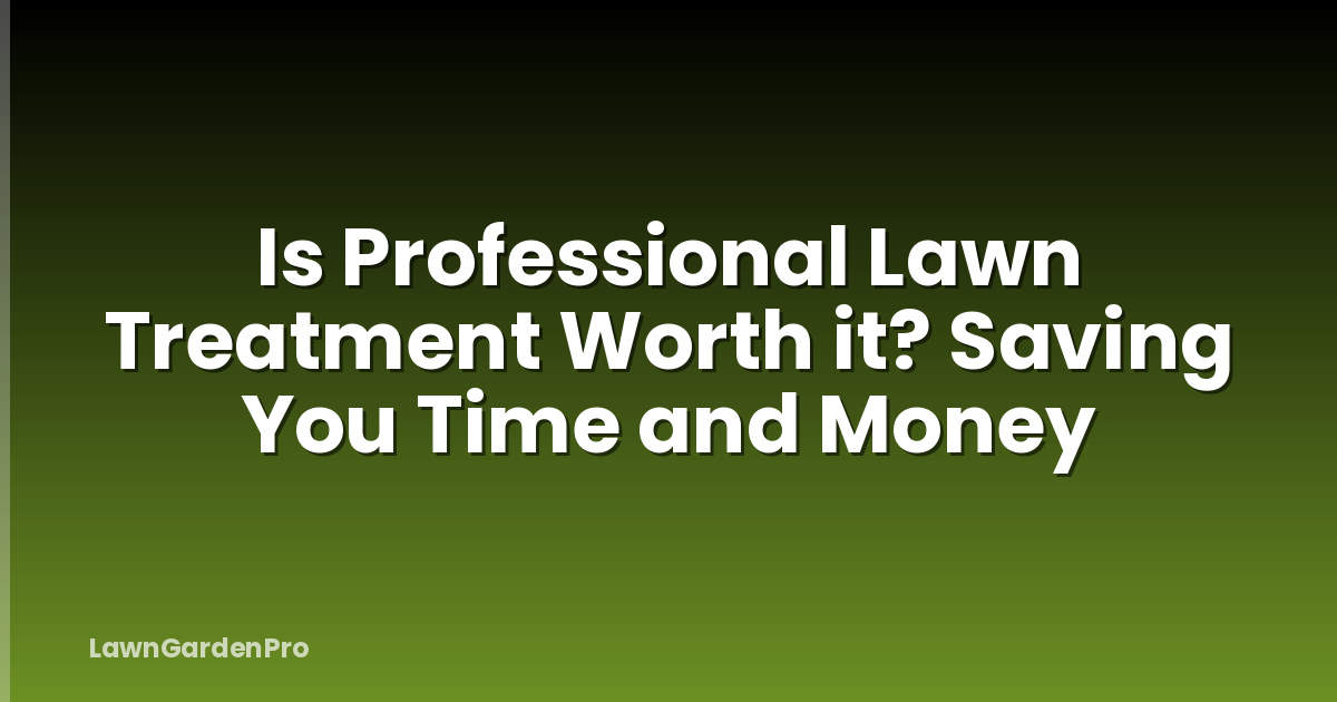Is Professional Lawn Treatment Worth it? Saving You Time and Money ...