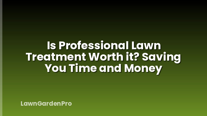 Is Professional Lawn Treatment Worth it? Saving You Time and Money ...