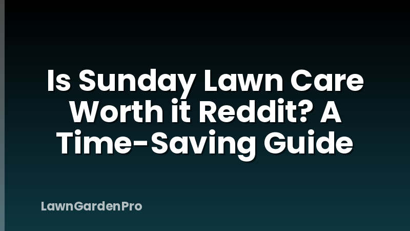 Is Sunday Lawn Care Worth it Reddit? A Time-Saving Guide - LawnGardenPro