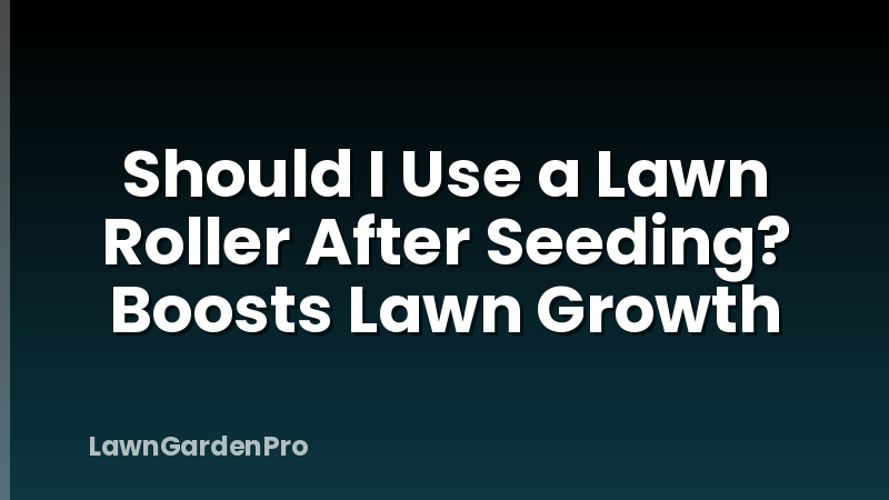 Should I Use a Lawn Roller After Seeding? Boosts Lawn Growth ...