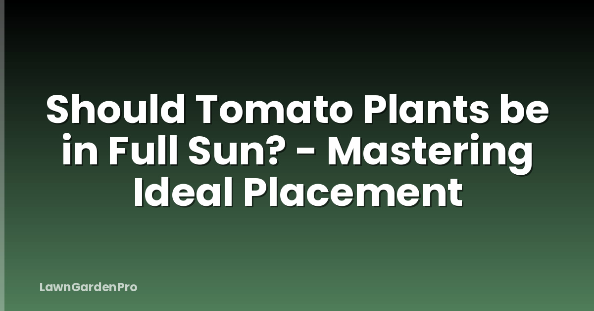 Should Tomato Plants be in Full Sun? - Mastering Ideal Placement ...