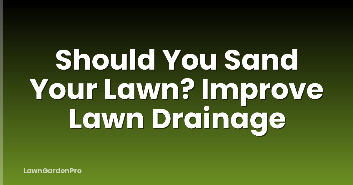 Should You Sand Your Lawn? Improve Lawn Drainage - LawnGardenPro