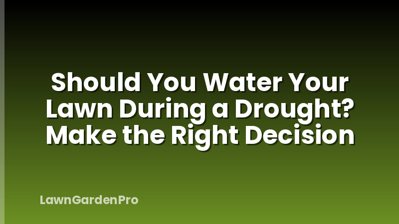 Should You Water Your Lawn During a Drought? Make the Right Decision ...