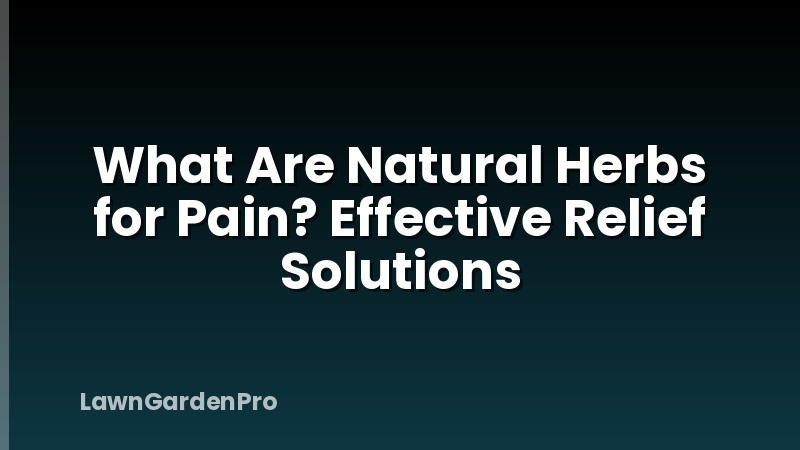 What Are Natural Herbs for Pain? Effective Relief Solutions - LawnGardenPro