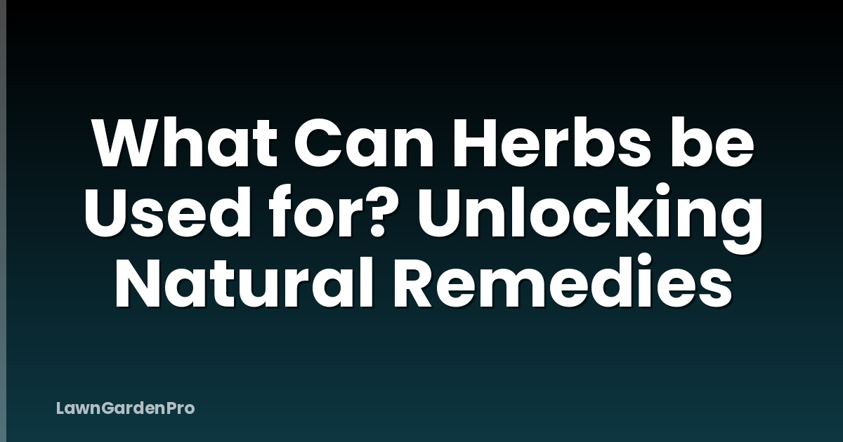 What Herbs Can be Dried in the Microwave? Easy Microwave Methods ...