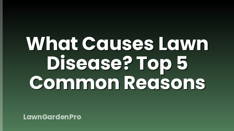 What Causes Lawn Disease? Top 5 Common Reasons - LawnGardenPro