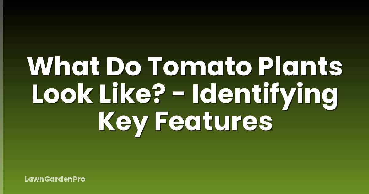 What Do Tomato Plants Look Like? - Identifying Key Features - LawnGardenPro