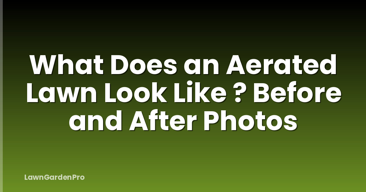 What Does an Aerated Lawn Look Like ? Before and After Photos ...