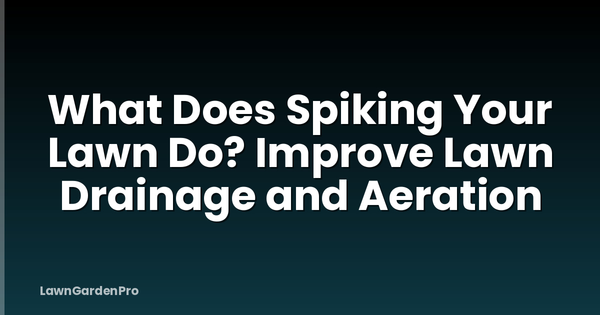 What Does Spiking Your Lawn Do? Improve Lawn Drainage and Aeration ...