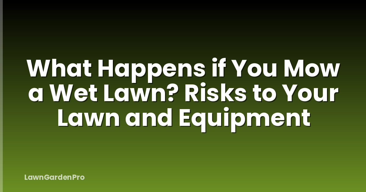 What Happens if You Mow a Wet Lawn? Risks to Your Lawn and Equipment ...