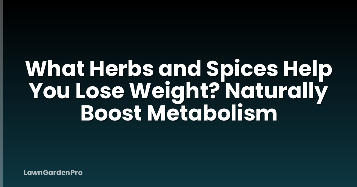 What Herbs and Spices Help You Lose Weight? Naturally Boost Metabolism ...