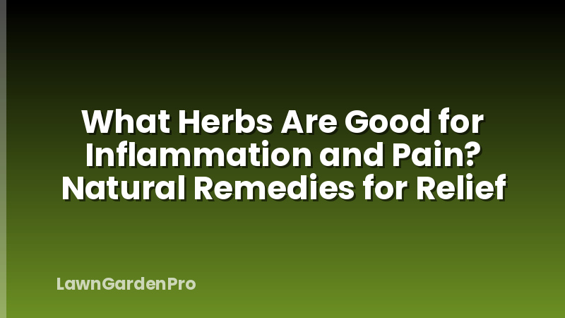 What Herbs Are Good for Inflammation and Pain? Natural Remedies for ...