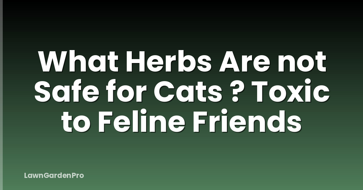 What Herbs Are not Safe for Cats ? Toxic to Feline Friends - LawnGardenPro