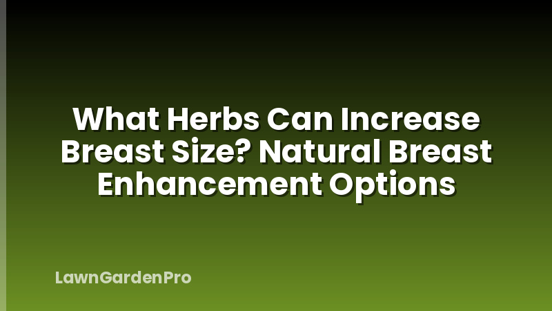 What Herbs Can Increase Breast Size? Natural Breast Enhancement Options ...