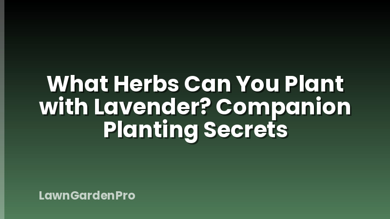 What Herbs Can You Plant with Lavender? Companion Planting Secrets ...