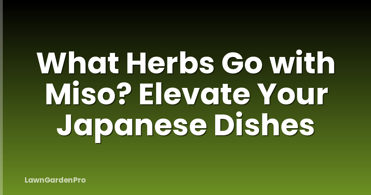 What Herbs Go with Miso? Elevate Your Japanese Dishes - LawnGardenPro