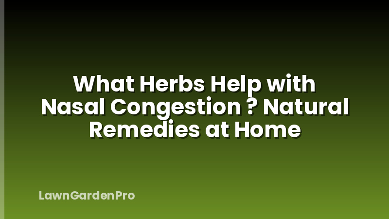 What Herbs Help with Nasal Congestion ? Natural Remedies at Home ...
