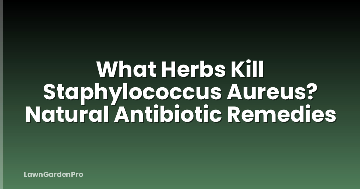 What Herbs Kill Staphylococcus Aureus? Natural Antibiotic Remedies ...