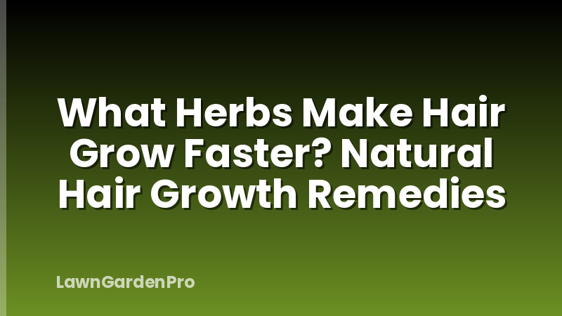What Herbs Make Hair Grow Faster? Natural Hair Growth Remedies ...