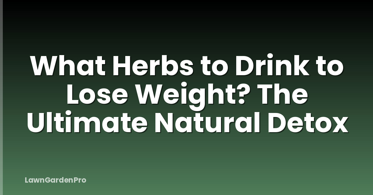 What Herbs to Drink to Lose Weight? The Ultimate Natural Detox ...