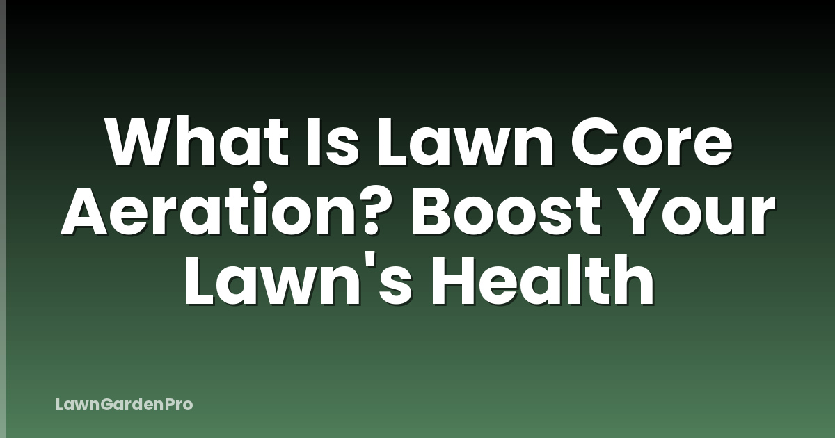 What Do You Fill a Lawn Roller with? Essential Materials - LawnGardenPro