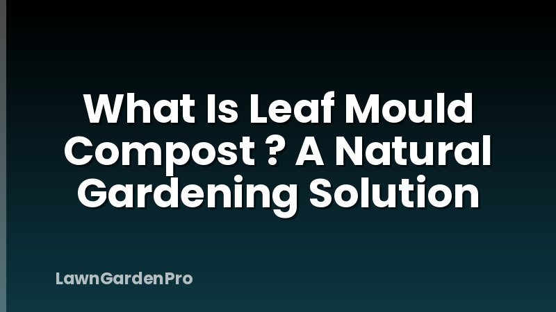 What Is Leaf Mould Compost ? A Natural Gardening Solution - LawnGardenPro
