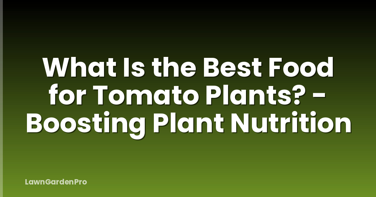 What Is the Best Food for Tomato Plants? - Boosting Plant Nutrition ...