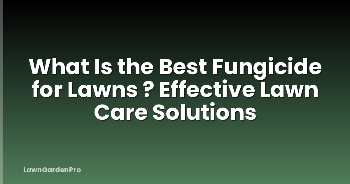 What Is the Best Fungicide for Lawns ? Effective Lawn Care Solutions ...