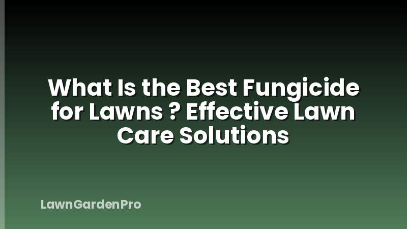 What Is the Best Fungicide for Lawns ? Effective Lawn Care Solutions ...