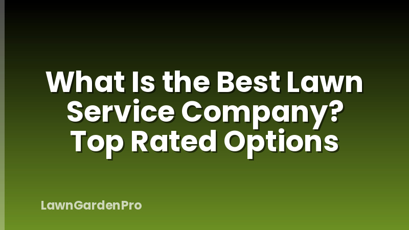 What Is the Best Lawn Service Company? Top Rated Options - LawnGardenPro