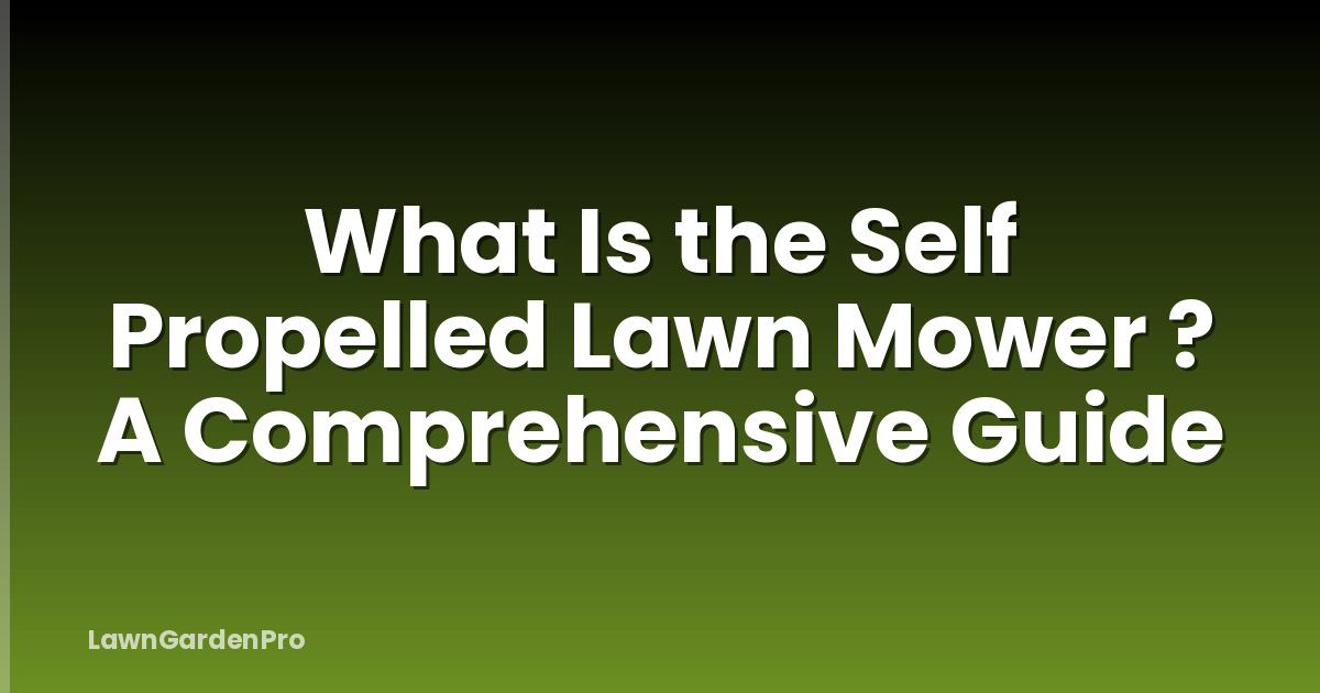 What Is the Self Propelled Lawn Mower ? A Comprehensive Guide ...