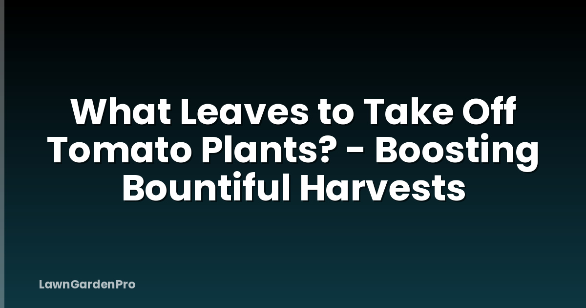 What Leaves to Take Off Tomato Plants? - Boosting Bountiful Harvests ...