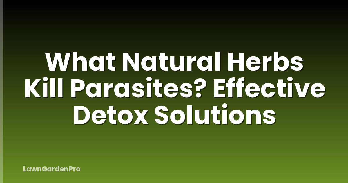 What Natural Herbs Kill Parasites? Effective Detox Solutions ...