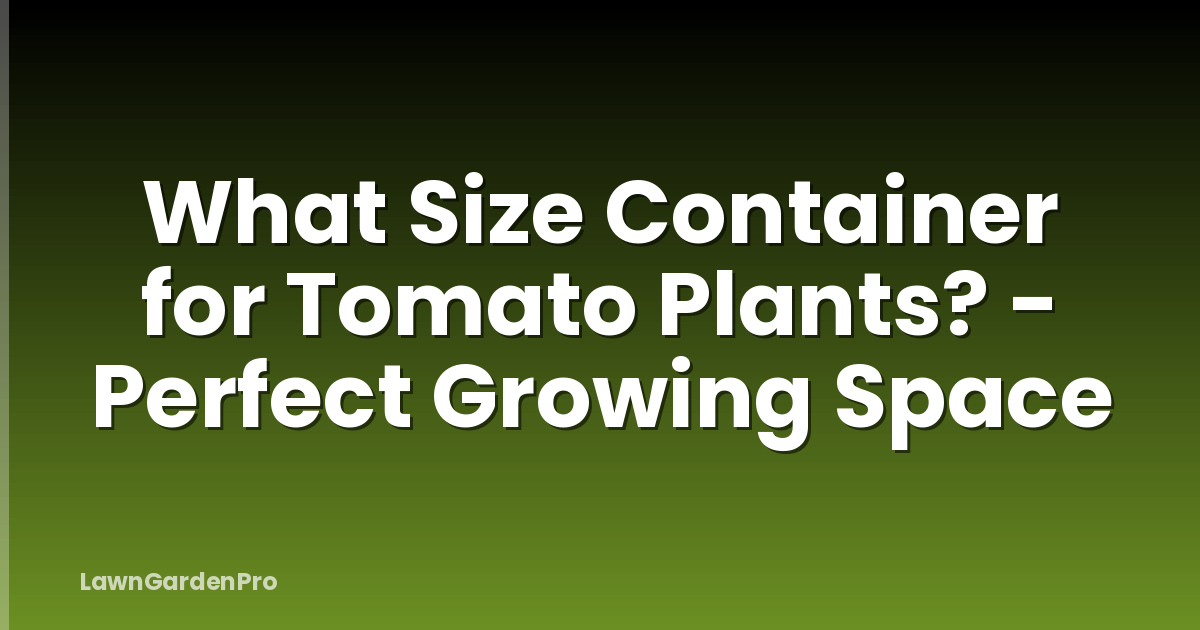 Should Tomato Plants be in Full Sun? - Mastering Ideal Placement ...