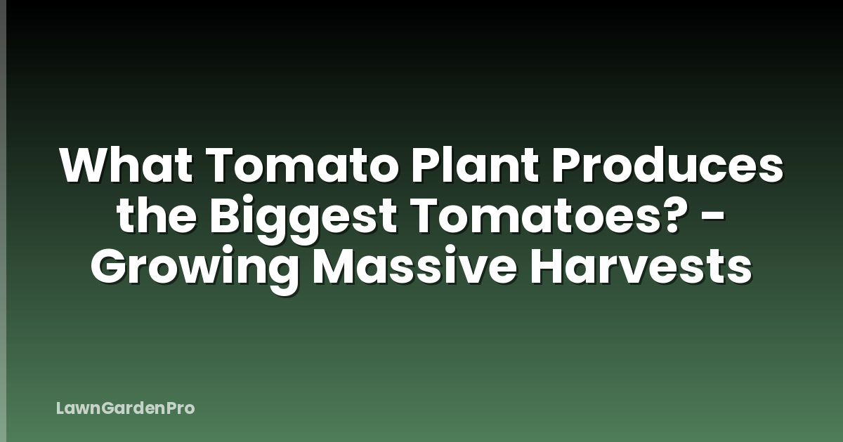 What Tomato Plant Produces the Biggest Tomatoes? - Growing Massive ...