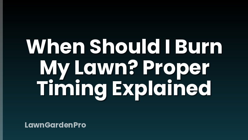 When Should I Burn My Lawn? Proper Timing Explained - LawnGardenPro