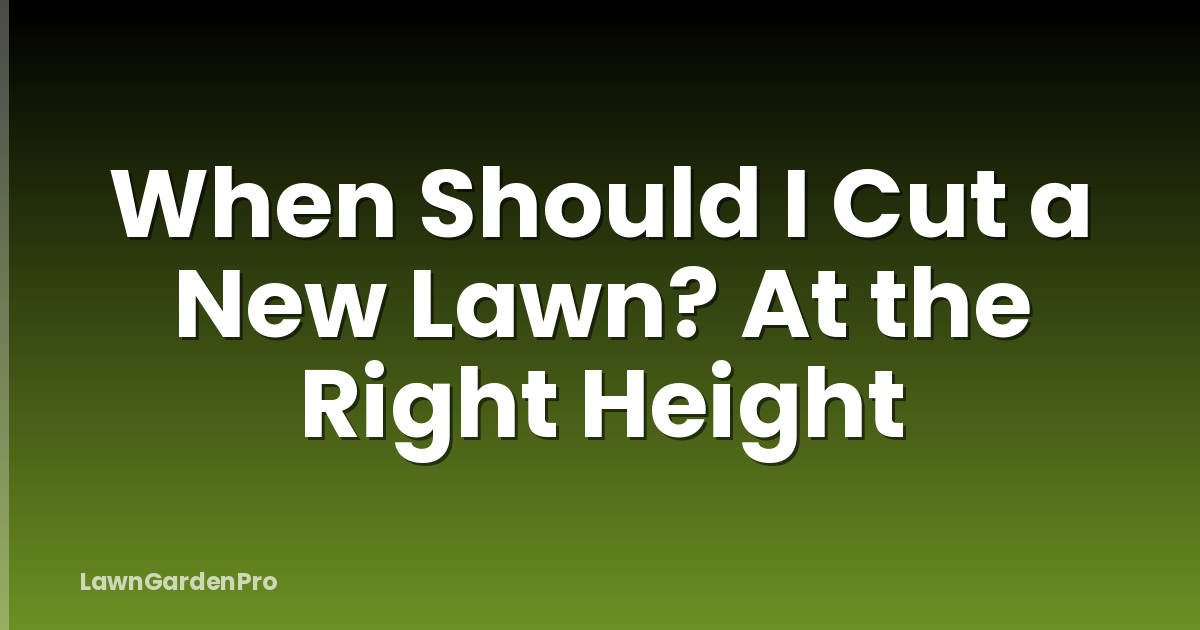 When Should I Cut a New Lawn? At the Right Height - LawnGardenPro