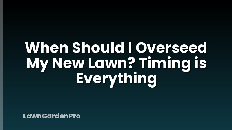 When Should I Overseed My New Lawn? Timing is Everything - LawnGardenPro