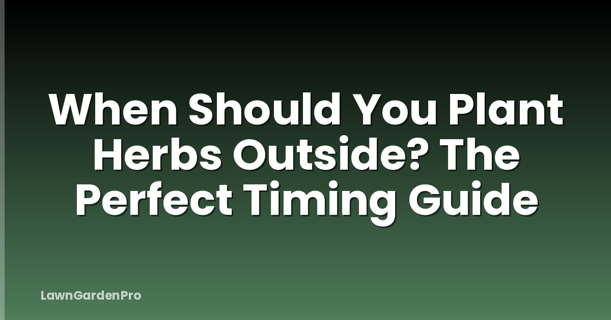 When Should You Plant Herbs Outside? The Perfect Timing Guide ...