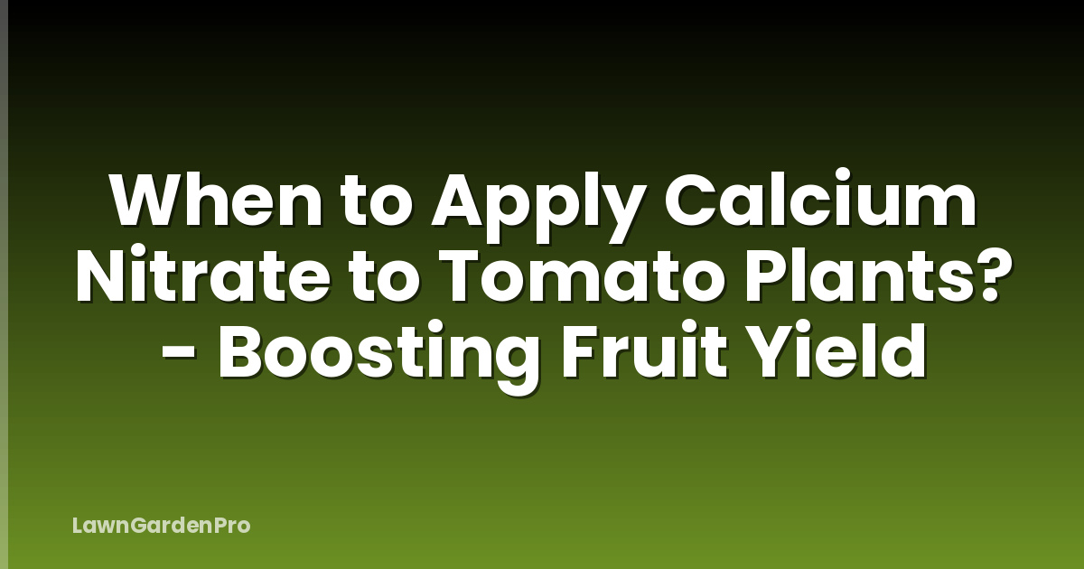 How to Control Blight on Tomato Plants? - Ultimate Plant Saving ...