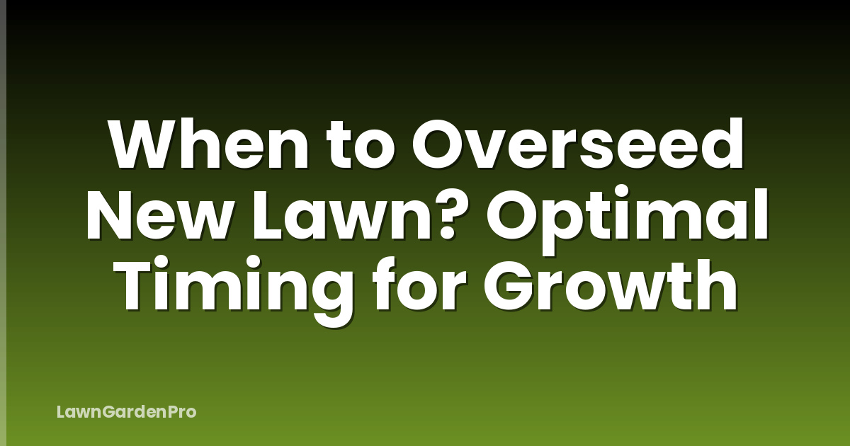 When to Overseed New Lawn? Optimal Timing for Growth - LawnGardenPro