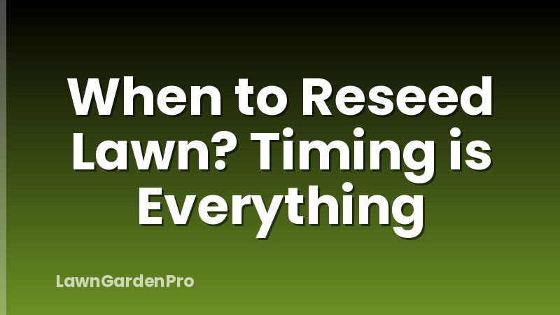 When To Reseed Bermuda