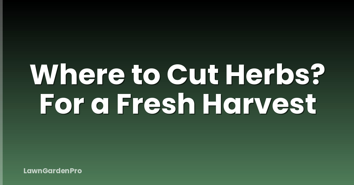 Where to Cut Herbs? For a Fresh Harvest - LawnGardenPro