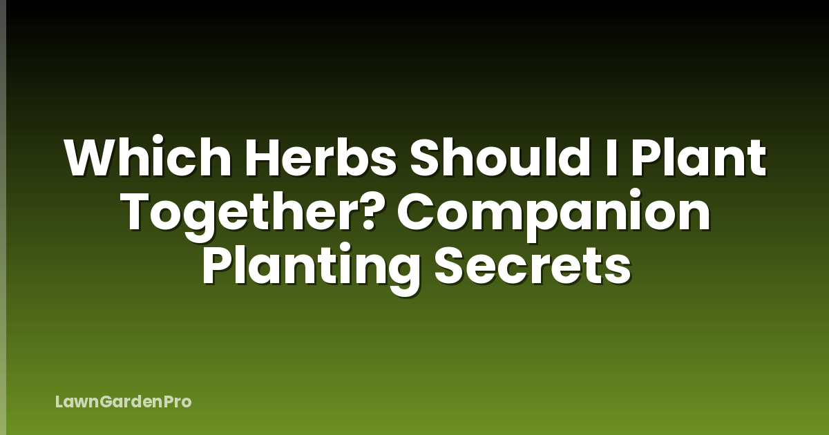 Which Herbs Should I Plant Together? Companion Planting Secrets ...