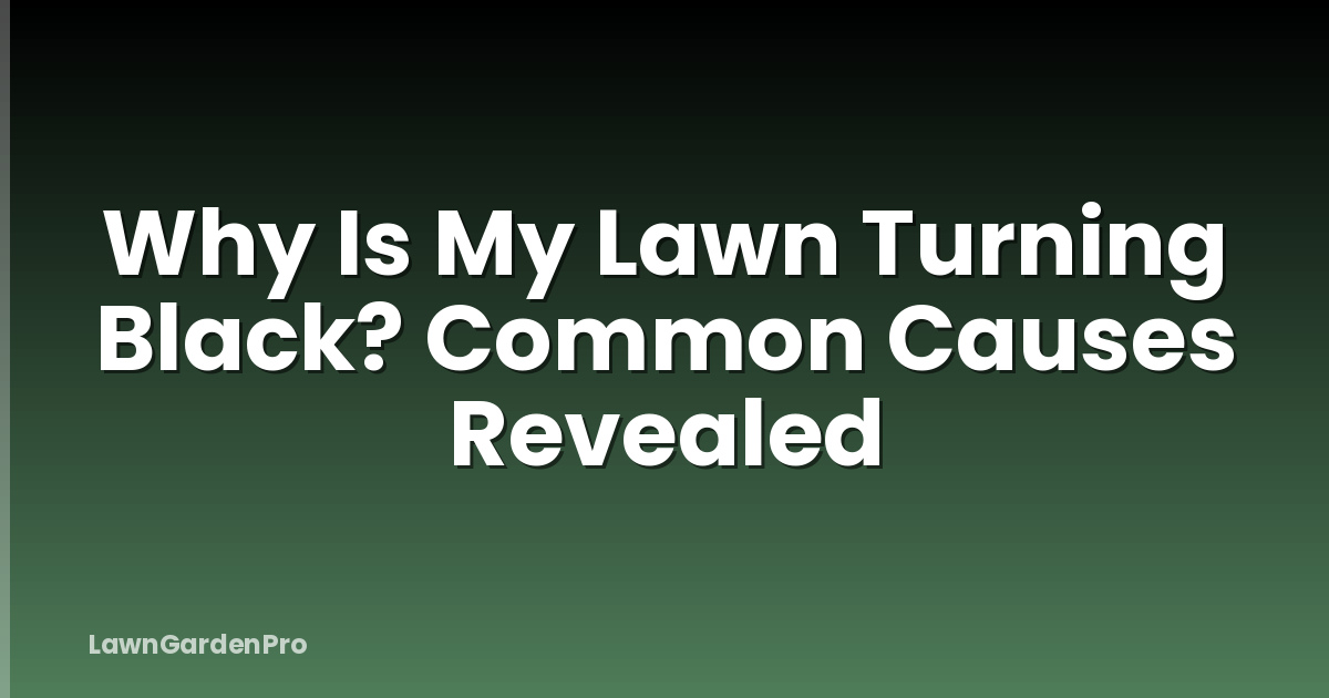 Why Is My Lawn Turning Black? Common Causes Revealed - LawnGardenPro