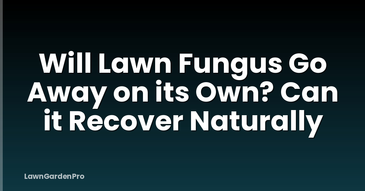 Will Lawn Fungus Go Away on its Own? Can it Recover Naturally ...